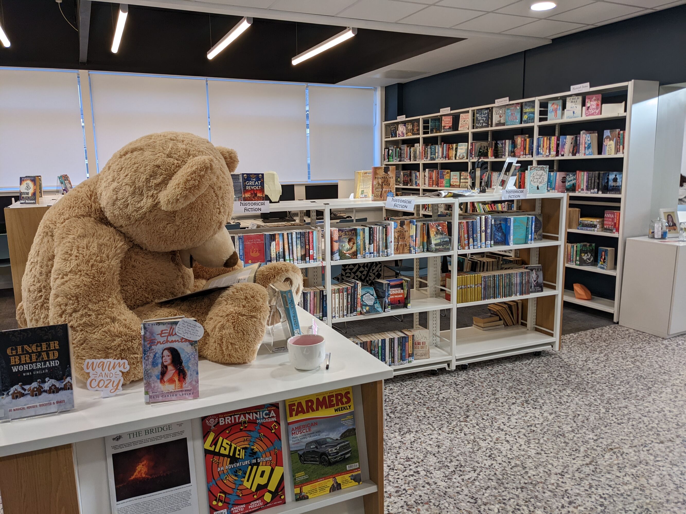 Library - Burford School