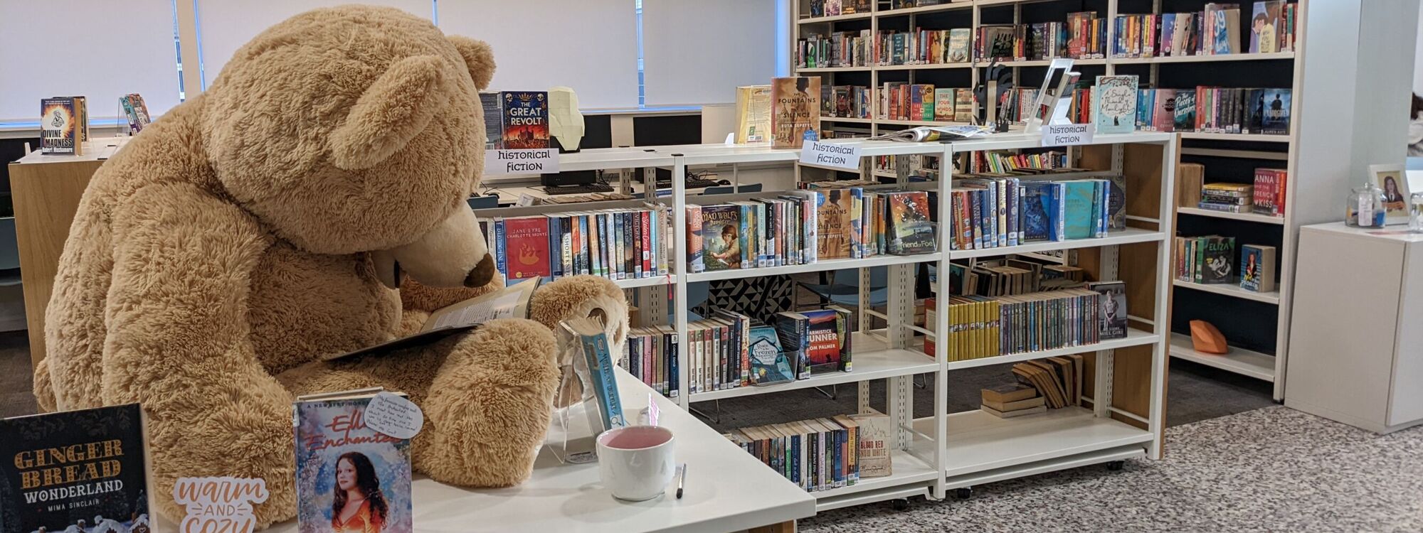 Library - Burford School