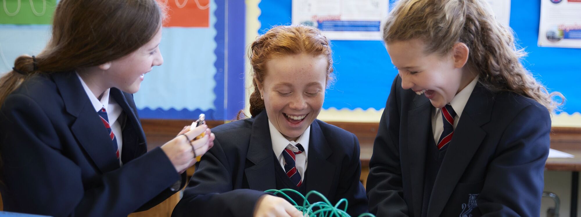 Curriculum Overview - Burford School